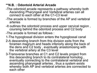 Anatomy of the posterior cerebral circulation | PPT