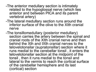 Anatomy of the posterior cerebral circulation | PPT