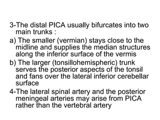 Anatomy of the posterior cerebral circulation | PPT
