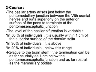 Anatomy of the posterior cerebral circulation | PPT