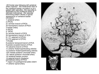 Anatomy of the posterior cerebral circulation | PPT