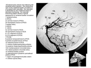 Anatomy of the posterior cerebral circulation | PPT