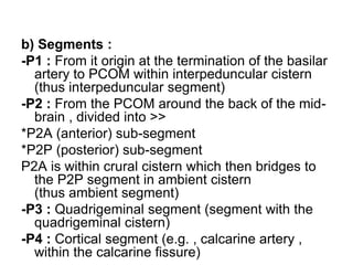 Anatomy of the posterior cerebral circulation | PPT