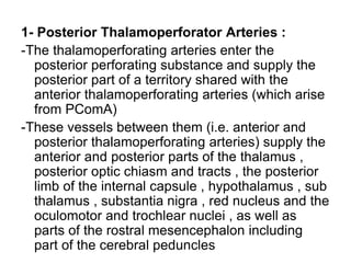 Anatomy of the posterior cerebral circulation | PPT