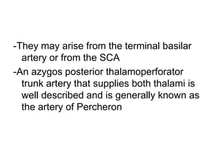 Anatomy of the posterior cerebral circulation | PPT