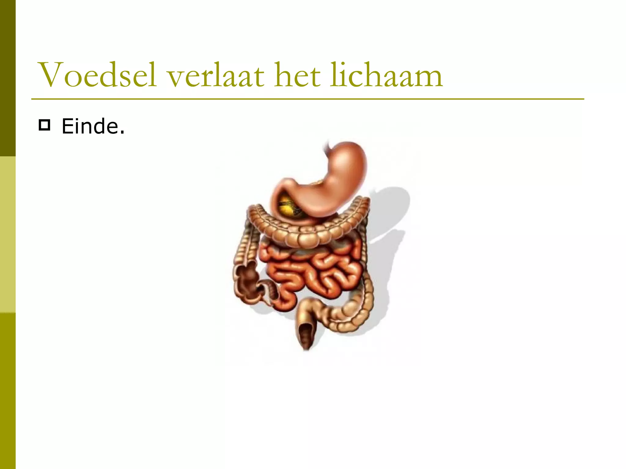 Verteringsstelsel | PPT