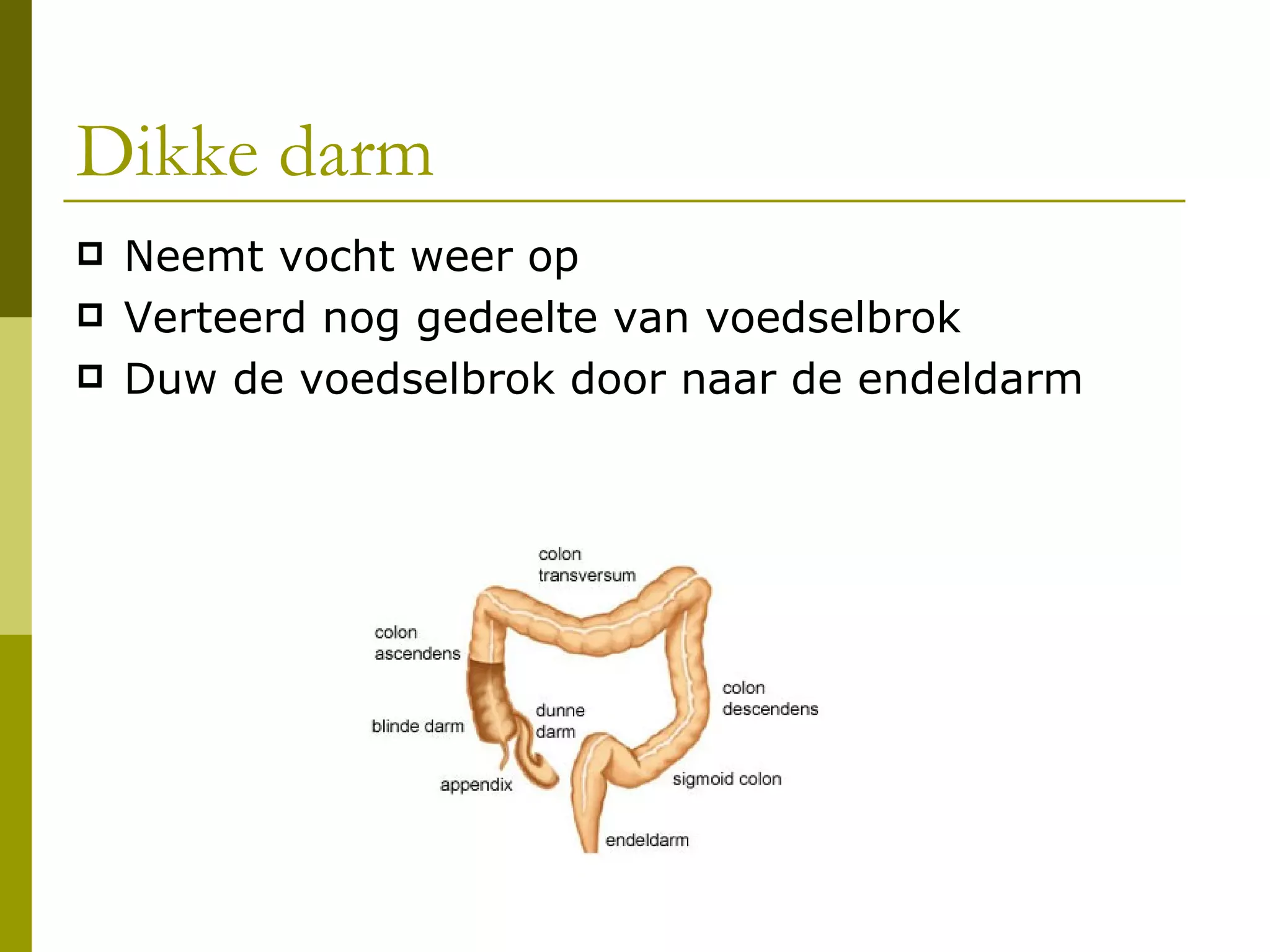 Verteringsstelsel | PPT