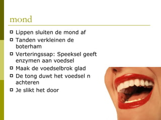 Verteringsstelsel | PPT
