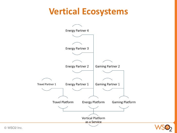 Creating an Ecosystem Platform with Vertical PaaS