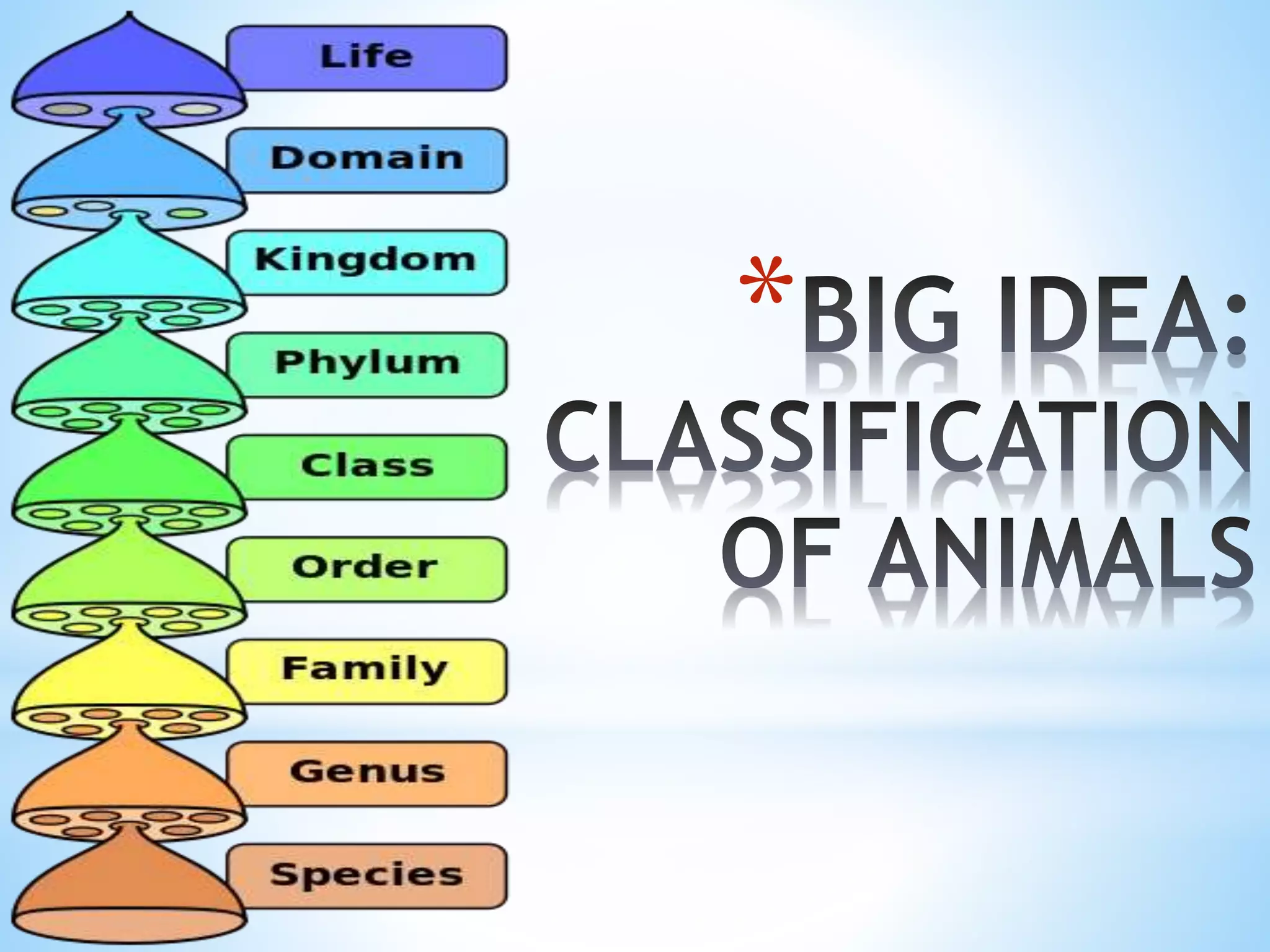 Vertical alignment project | PPTX