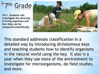 Vertical alignment project | PPT