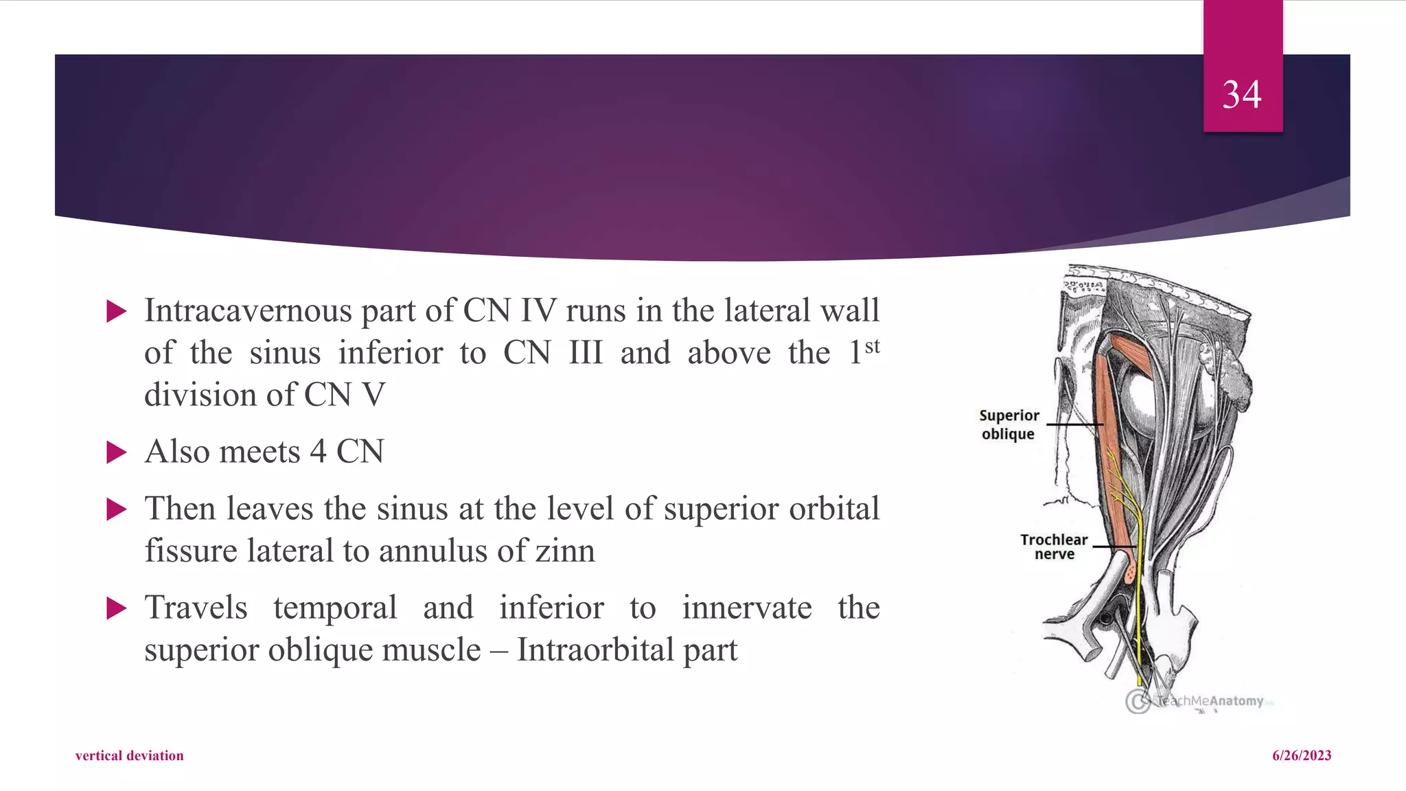 Vertical Deviation.pptx