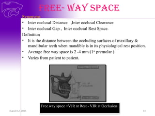 vertical dimension ppt.pptx