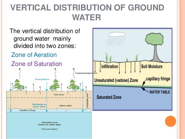 Vertical distribution of groundwater