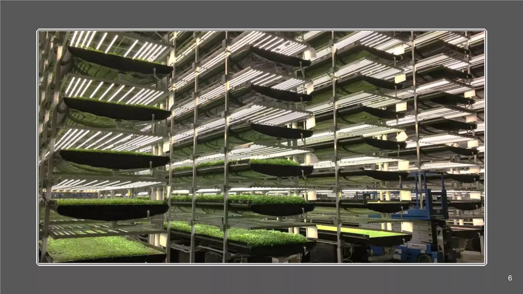 Vertical farming | PPT