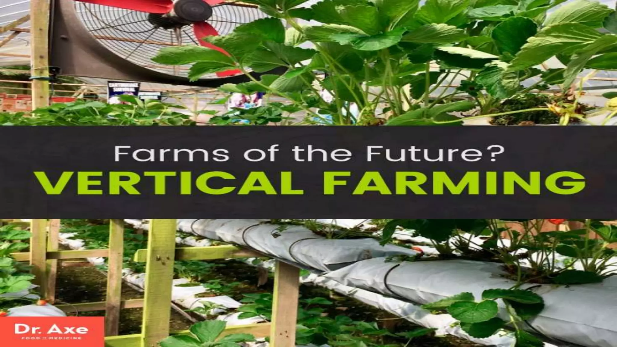 Vertical farming | PPT