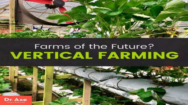 Vertical farming | PPT