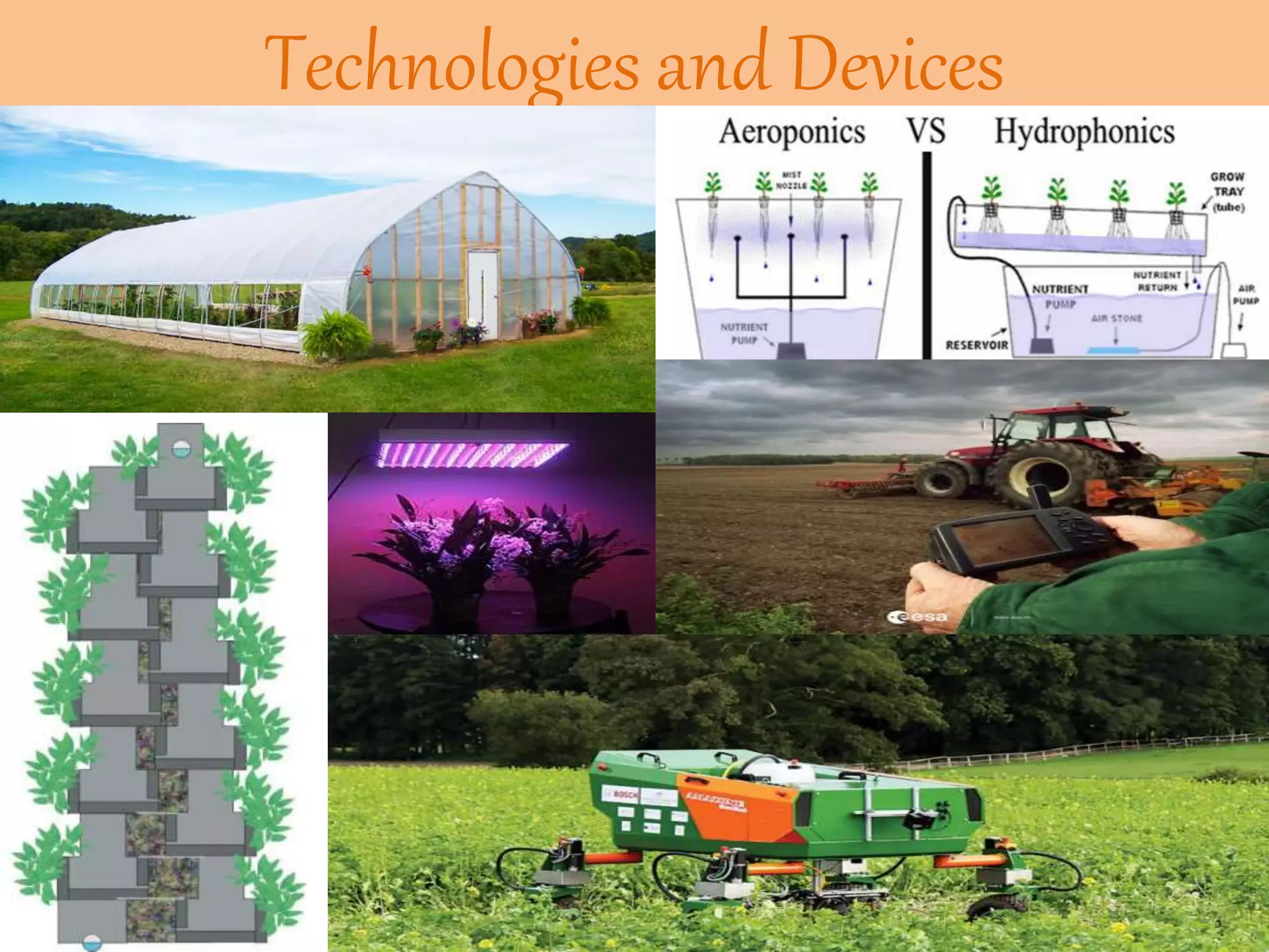 Vertical farming | PPTX