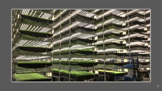 Vertical farming | PPTX