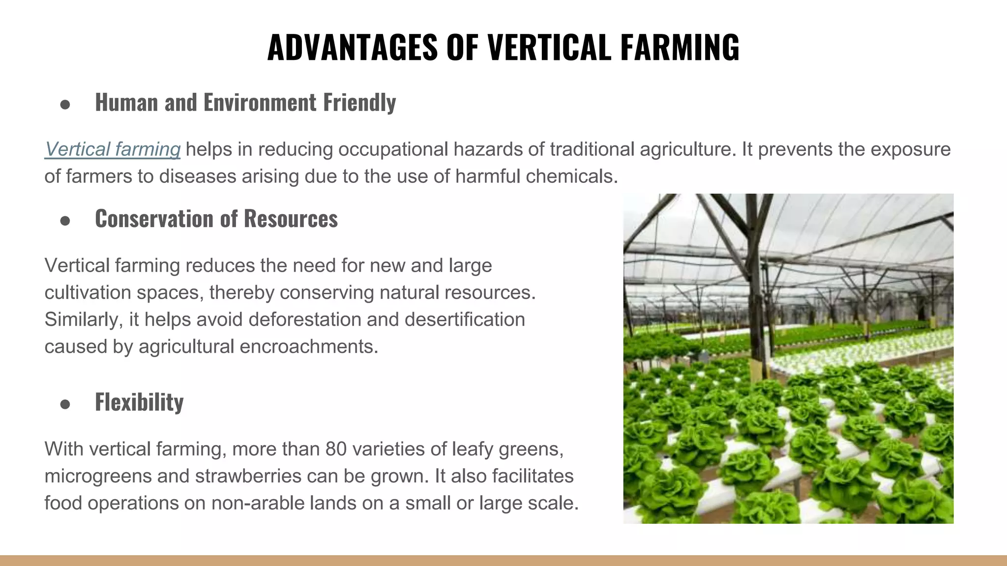 Vertical Farming - Advantage & Estimated Cost | PPTX