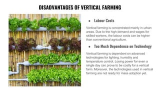 Vertical Farming - Advantage & Estimated Cost | PPTX