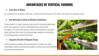 Vertical Farming - Advantage & Estimated Cost | PPT