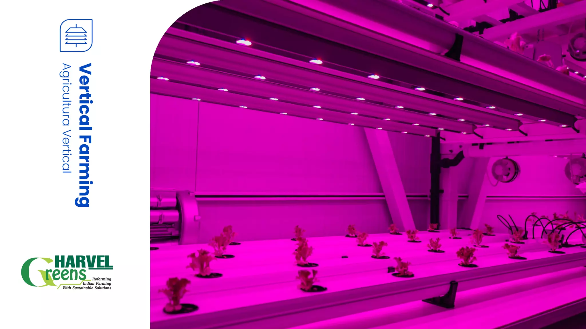 Vertical farming | Agricultural Vertical | PPT