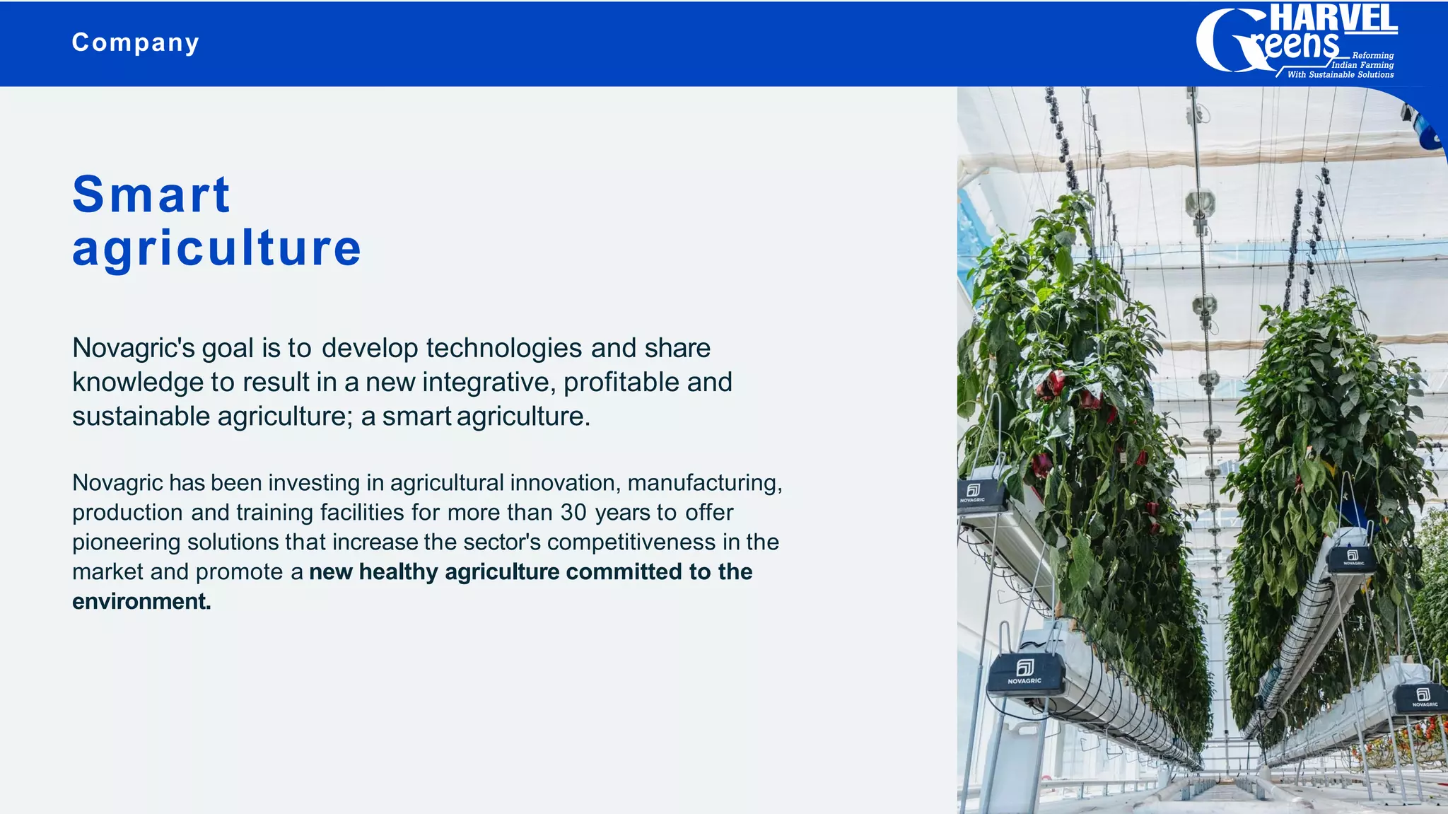 Vertical farming | Agricultural Vertical | PPT