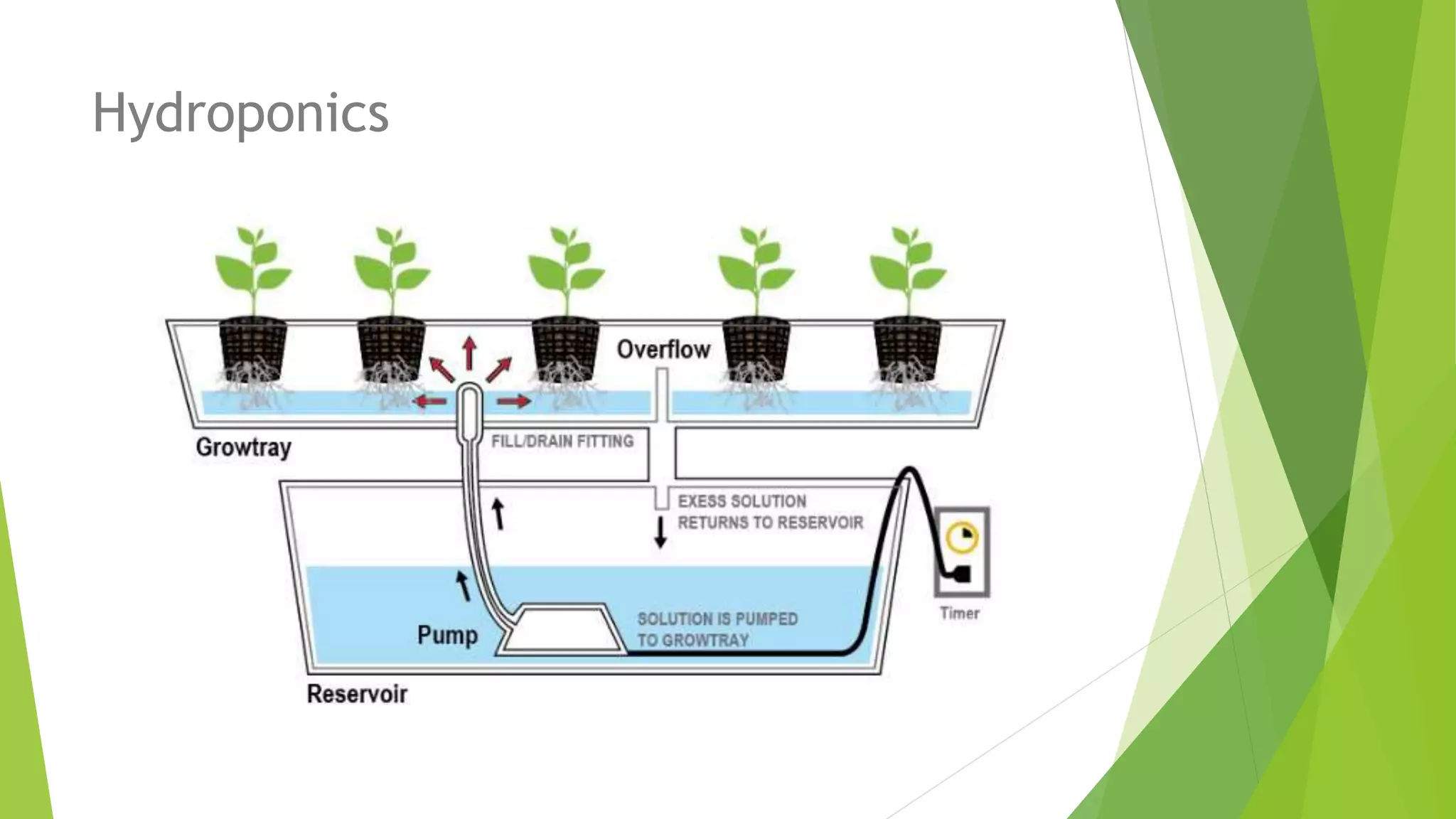 Vertical Farming Presentation-1.pptx