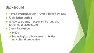 Vertical Farming Presentation-1.pptx