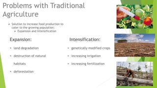 Vertical Farming Presentation-1.pptx