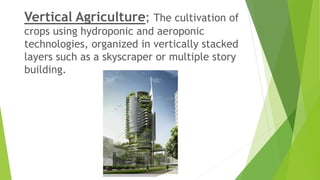 Vertical Farming Presentation-1.pptx