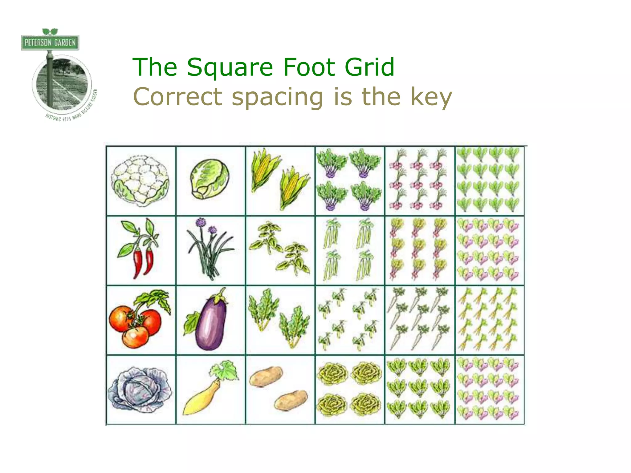 Vertical gardening | PDF