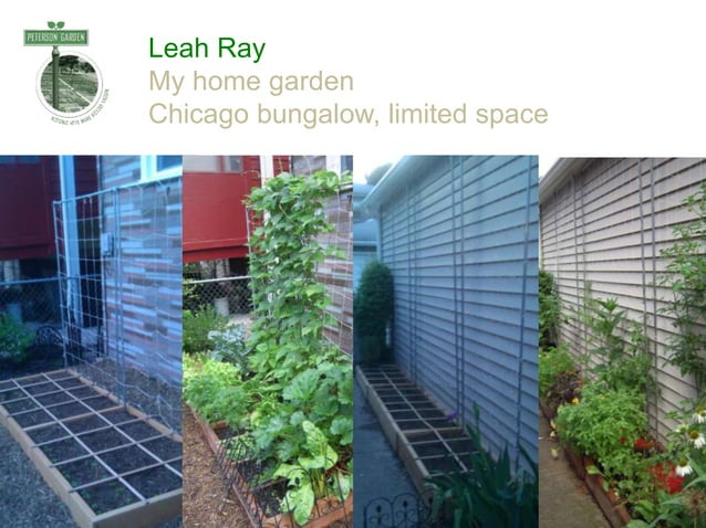 Vertical gardening | PDF