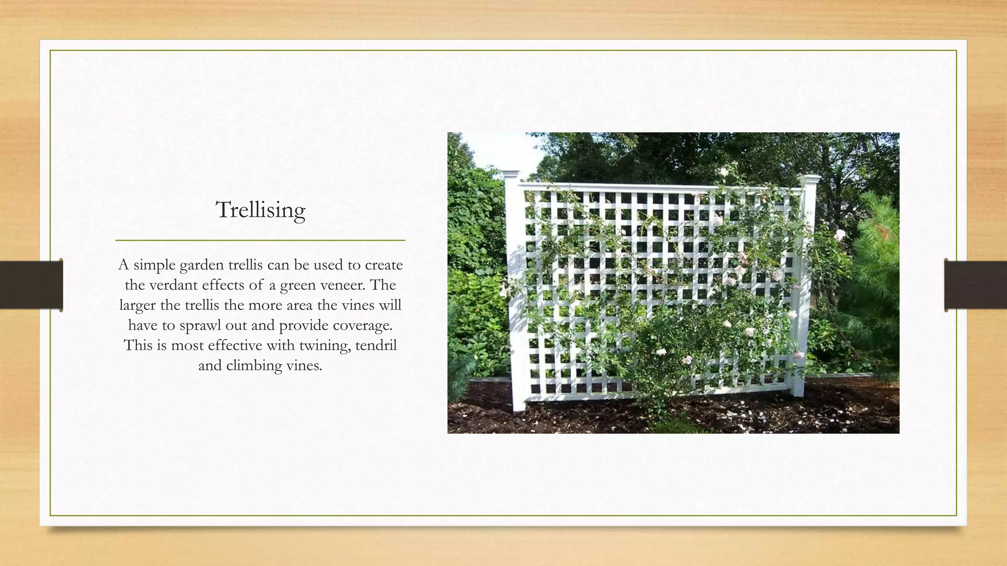 Vertical Gardens & Green Walls | PPTX