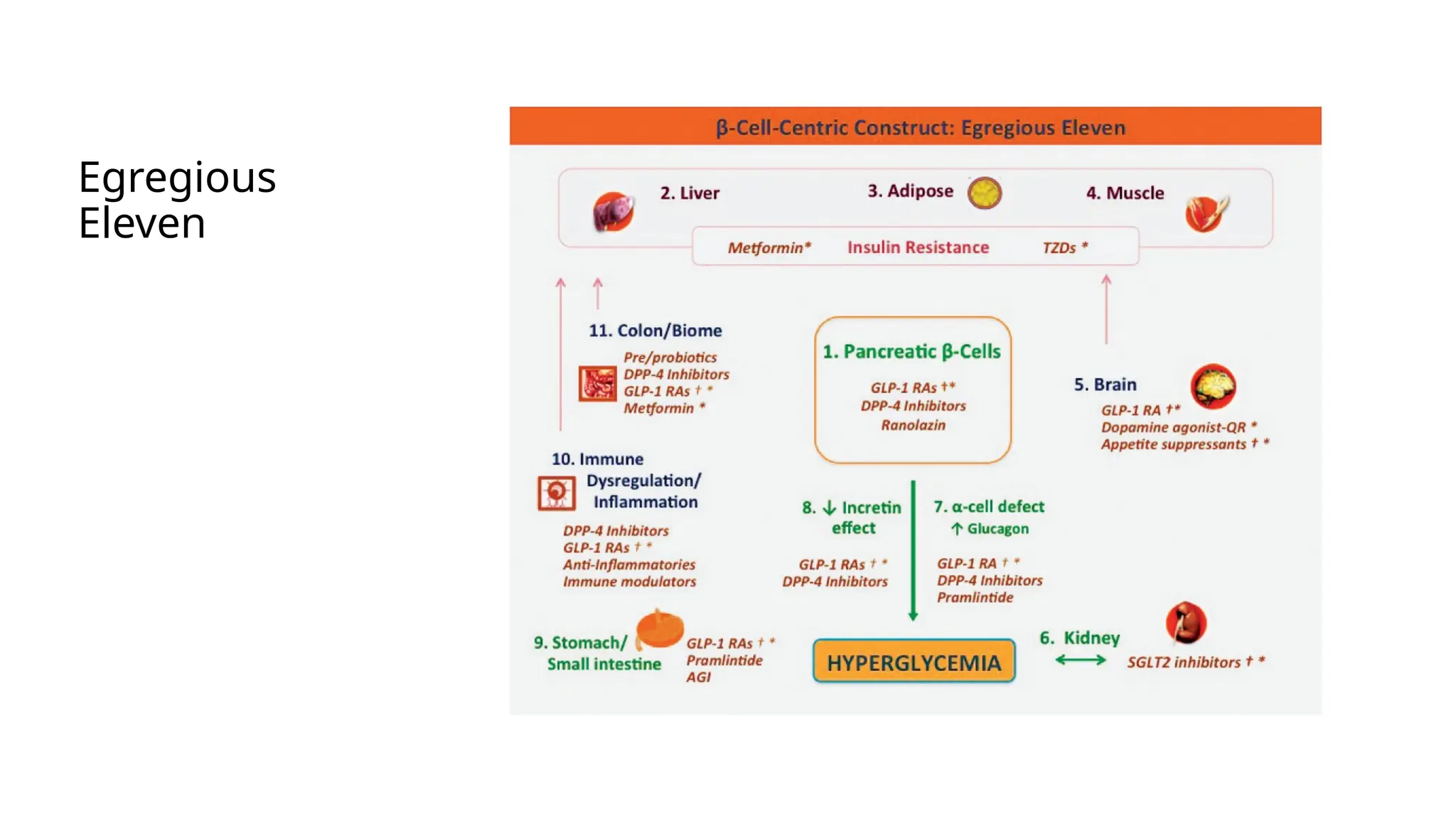 CORE PRINCIPLES OF TREATMENT OF DIABETES MELLITUS.pptx