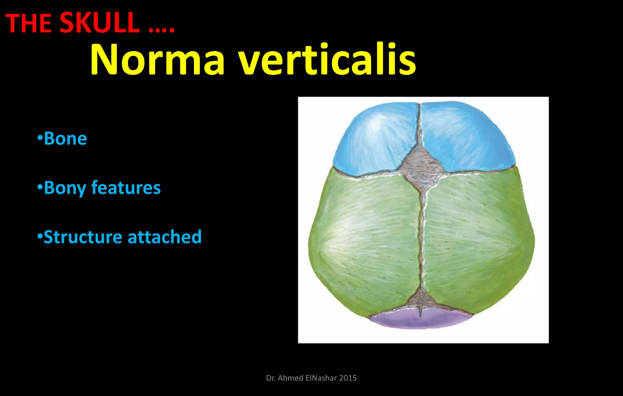 Norma Verticalis of skull | PPTX
