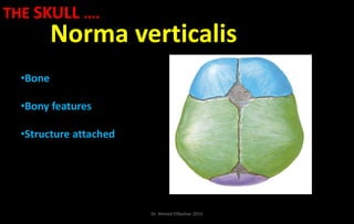 Norma Verticalis of skull | PPTX
