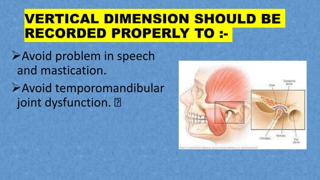 VERTICAL JAW RELATION.pptx | Dental Health | Diseases and Conditions