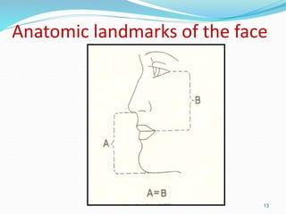vertical jaw relation.ppt