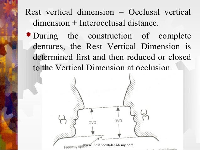 Vertical jaw relations/ dentistry course in india