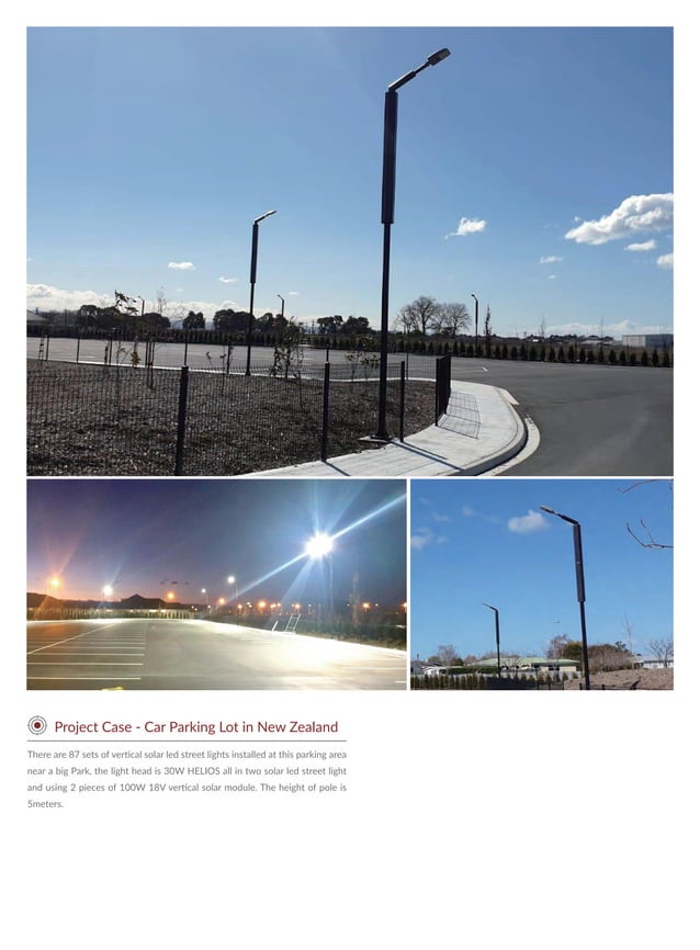 Vertical solar street light data sheet(1) 202104-10 | PDF