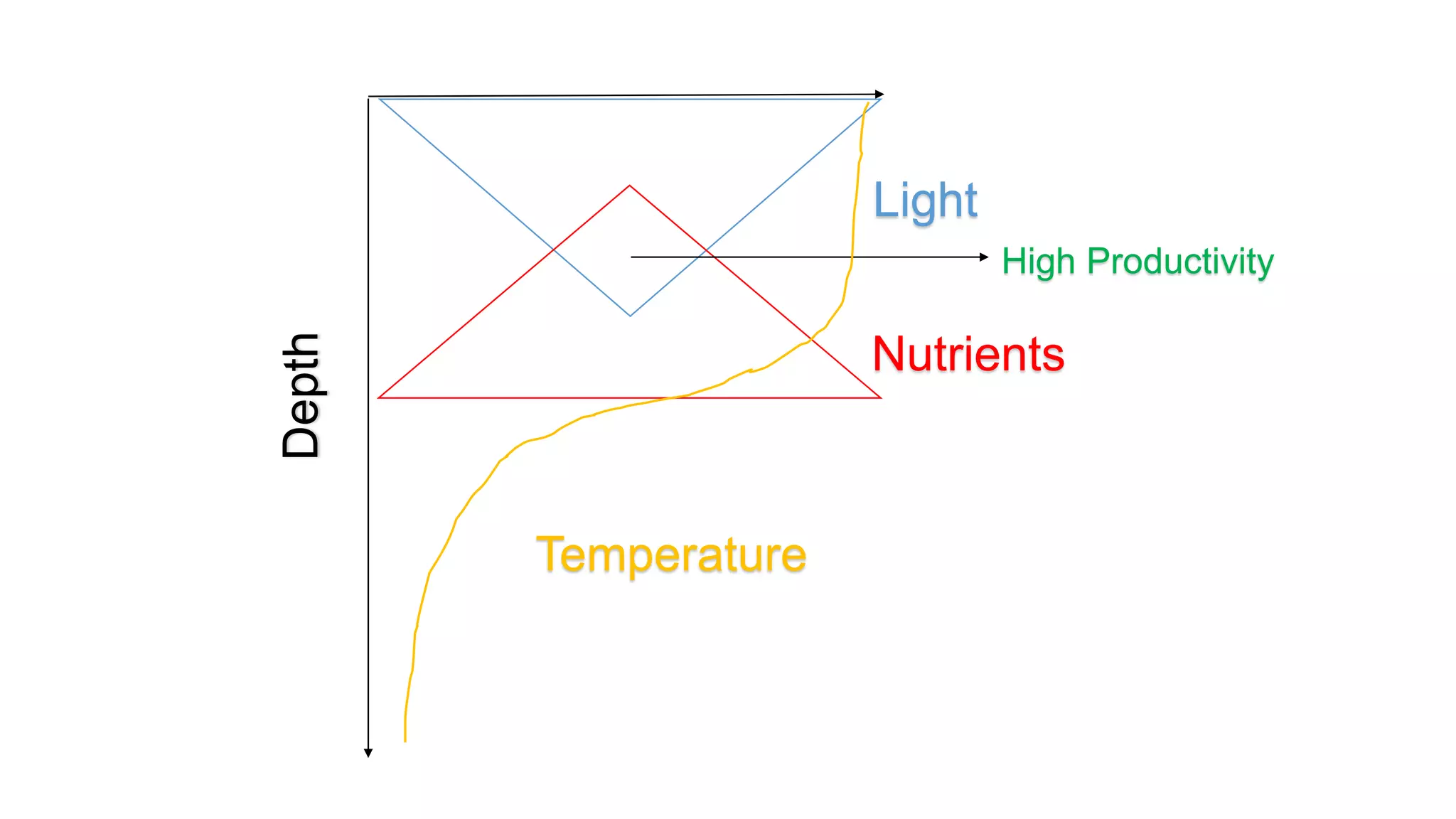 Vertical Structure of the Open Ocean: Biology of the Mixed Layer | PPTX