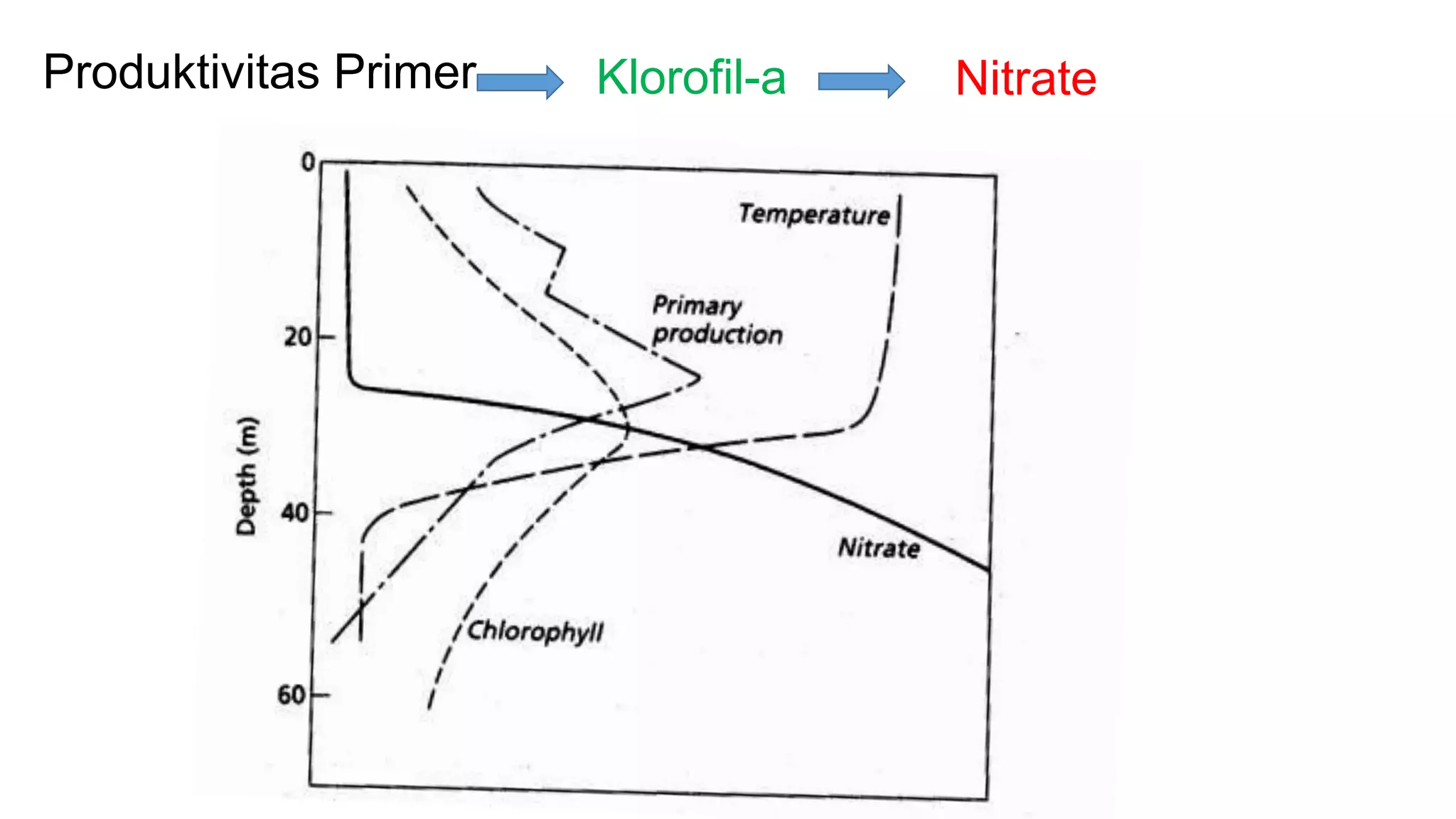 Vertical Structure of the Open Ocean: Biology of the Mixed Layer | PPTX