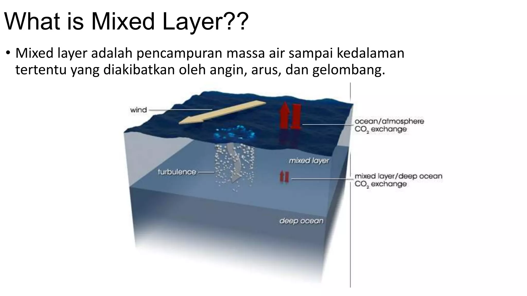 Vertical Structure of the Open Ocean: Biology of the Mixed Layer | PPTX