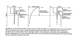Vertical Structure of the Open Ocean: Biology of the Mixed Layer | PPTX