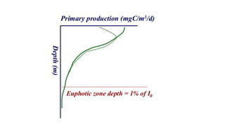 Vertical Structure of the Open Ocean: Biology of the Mixed Layer | PPTX