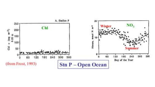 Vertical Structure of the Open Ocean: Biology of the Mixed Layer | PPTX