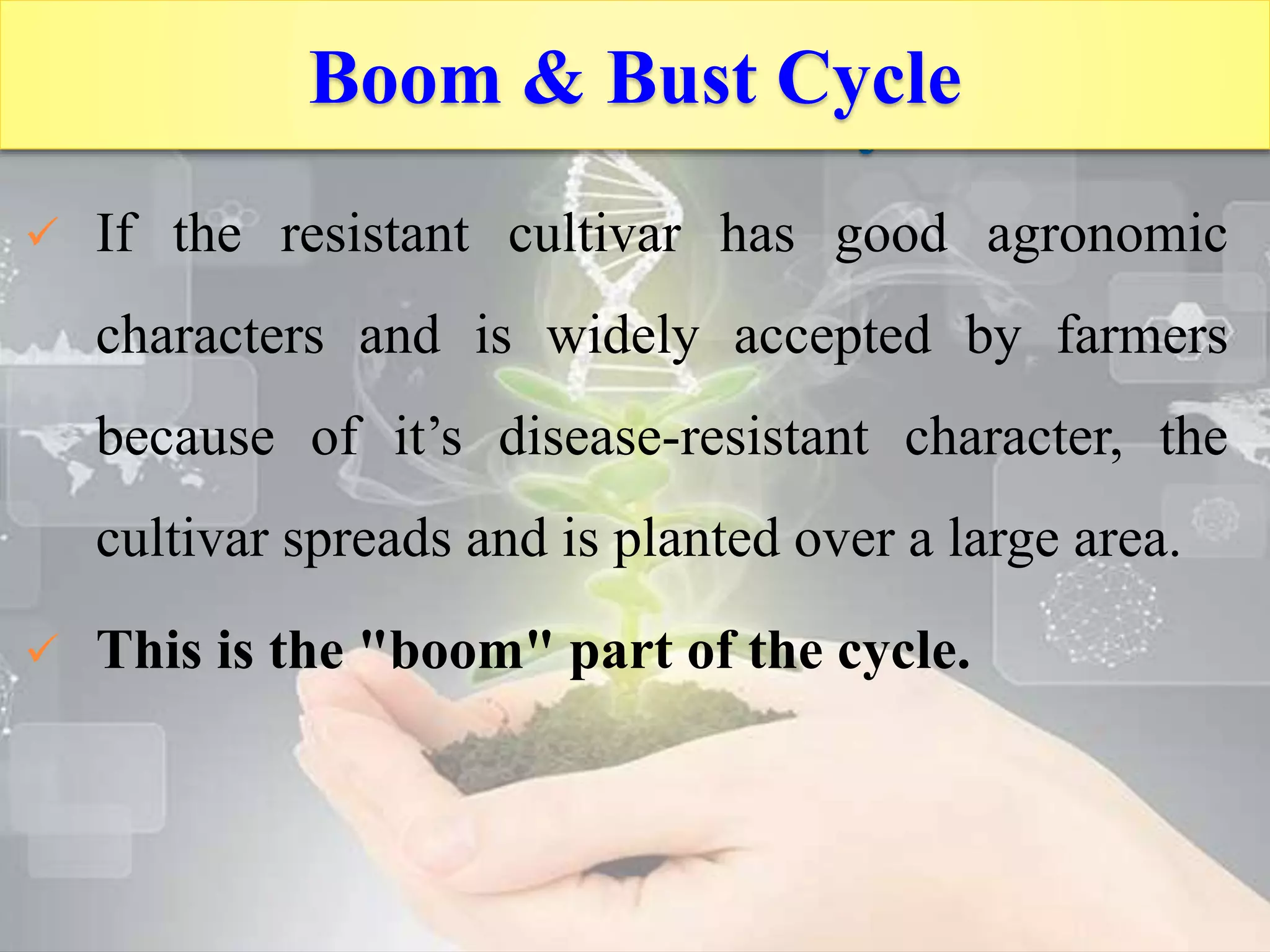 Vertifolia effect and boom and bust cycle | PPTX