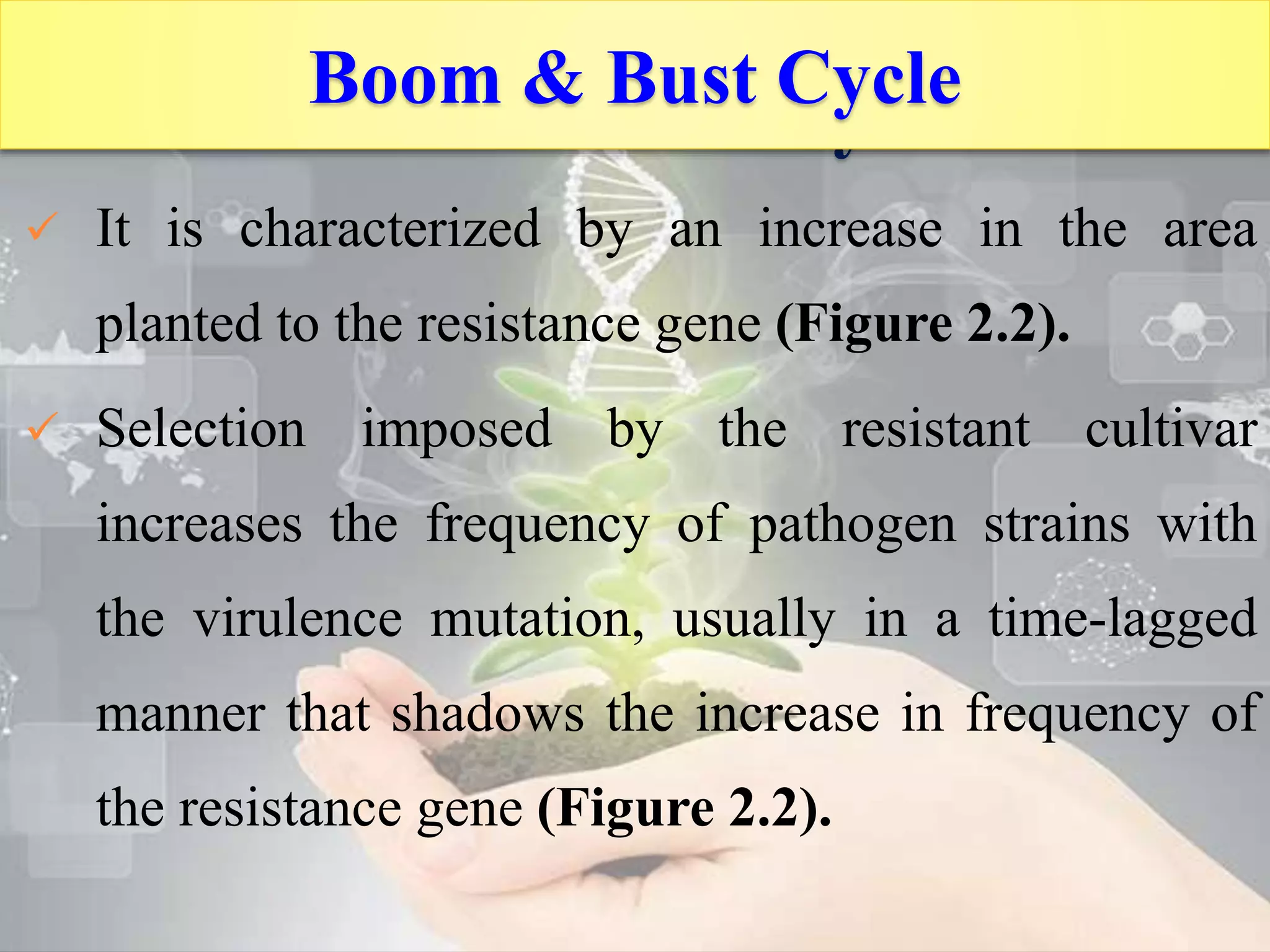 Vertifolia effect and boom and bust cycle | PPTX